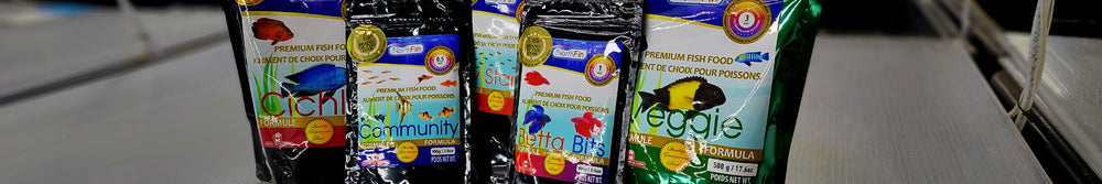 Premium Fish Food for Healthy Aquatic Pets | Shop Fish Food