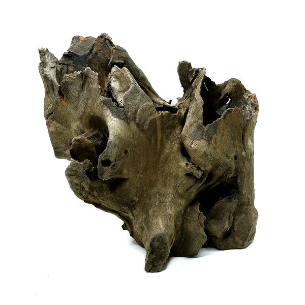 Stump Wood for Aquariums: Elevate Your Underwater Aesthetics - Flip ...