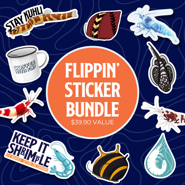Fish Stickers | 10 Assorted Aquarium Stickers